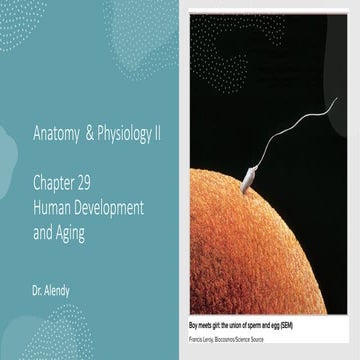 2086 Chapter 29 Human Development and Aging (1).pptx