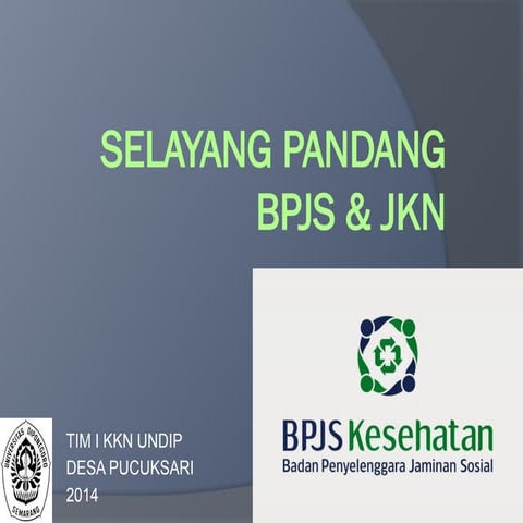 209598275-Selayang-Pandang-Bpjs-Jkn.pptx