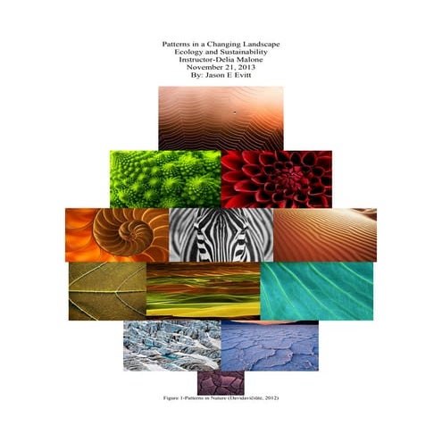 Patterns in a Changing Landscape | DOC