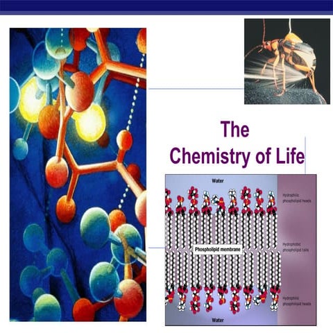 20 ch02chemistry2008 | PPT