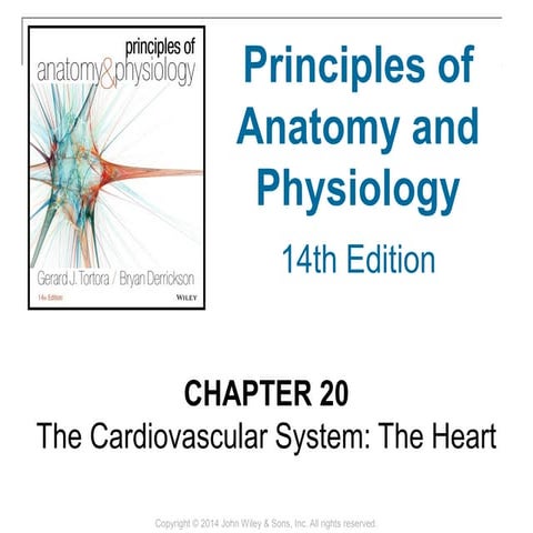 20 [chapter 20 the cardiovascular system the heart] | PPT