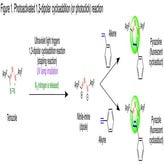Photoclick 1,3-DC | PDF