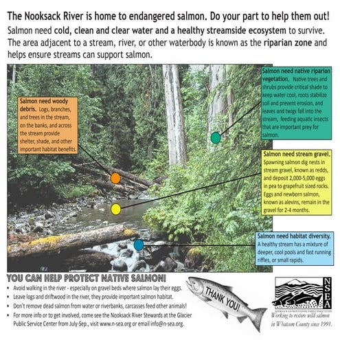 Riparian Zone | PDF