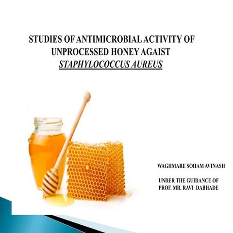 chemistry project for class 12 on analysis of honey | DOCX