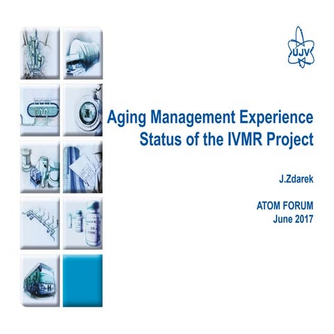 Aging Management Experience. Status of the IVMR Project | PDF