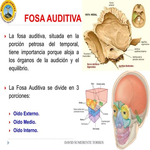 ANATOMIA DE CAJA TIMPANICA.ppt