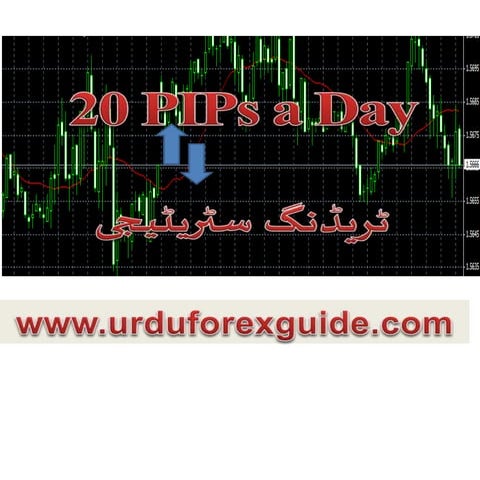 20 pips daily www.urduforex guide.com