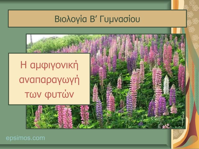Η αναπαραγωγή των φυτών Ppt