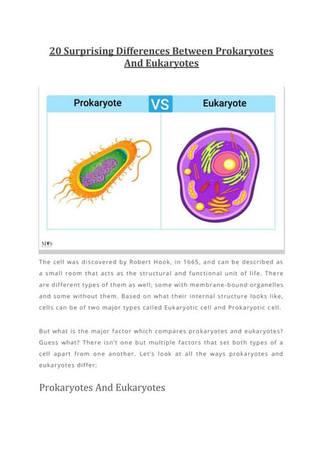 20 surprising differences between prokaryotes and eukaryotes | PDF 20 surprising differences between prokaryotes and eukaryotes | PDF