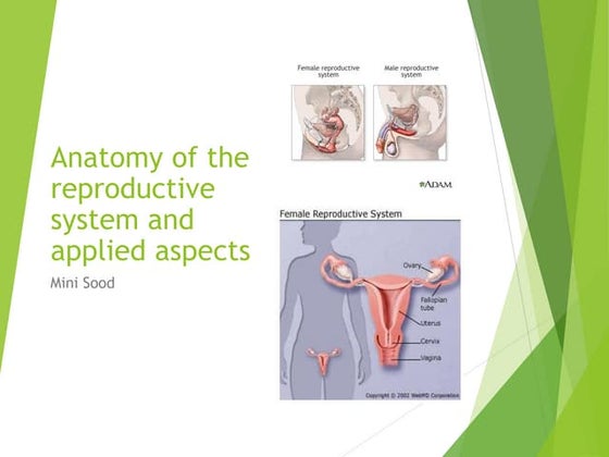 Subinvolution of the uterus | PPT