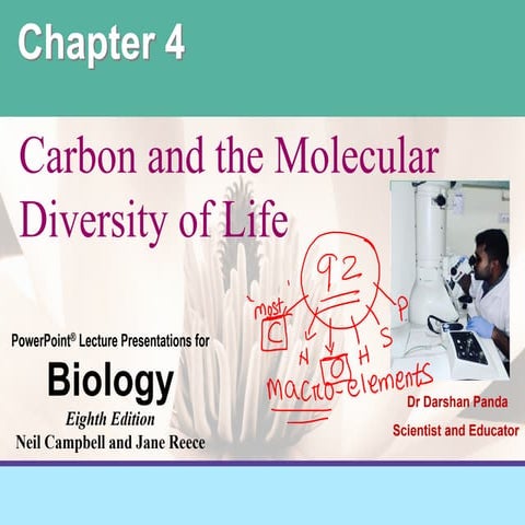 AP Carbon Lecture for Advanced Placement Biology | PDF