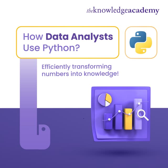 Uncover how data pros turn raw data into insights! | PDF