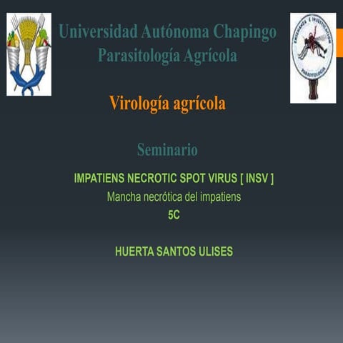 21. impatiens necrotic spot virus. insv | PPTX