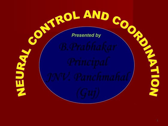 Control and coordination | PPT