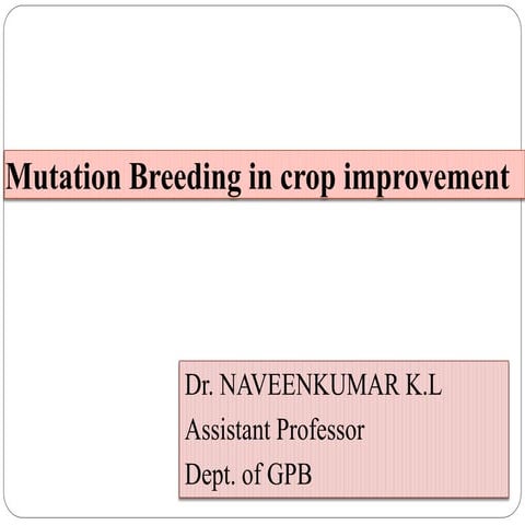 21. Mutation Breeding in crop improvement | PPTX