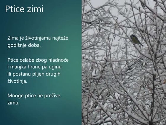 18. mo ishrana i koristi domacih zivotinja | PPT