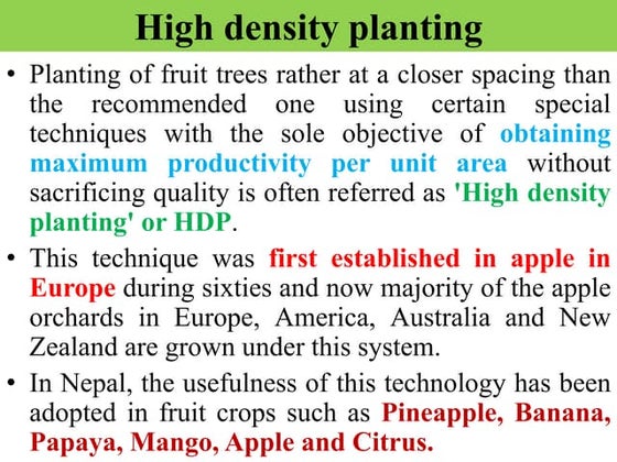 PLANNING AND LAYOUT OF AN ORCHARD.pptx