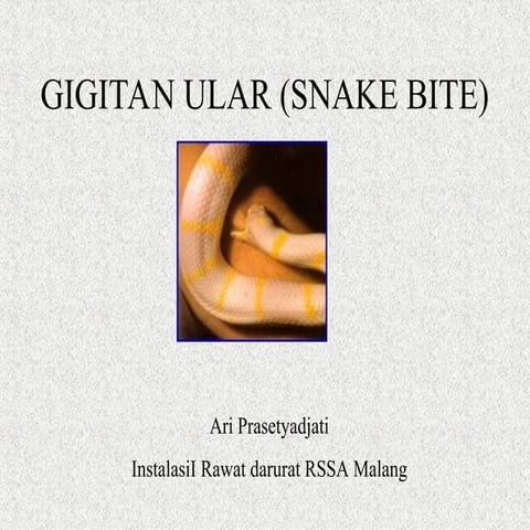 21.GIGITAN ULAR dan pencegahannya(SNAKE BITE).ppt