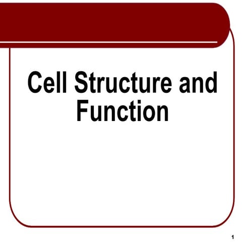 занятие 2,1.pdf cell structure and function | PPT