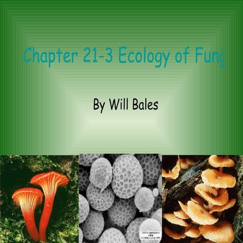 21 3 Ecology Of Fungi | PPT