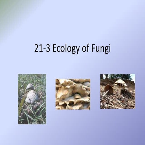 21 3 Ecology Of Fungi | PPTX
