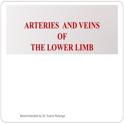21-_Vascular_anatomy_of_the_lower_limb.pdf