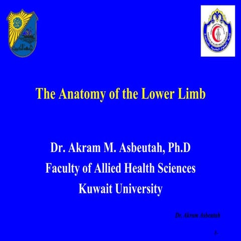 Lower limb complete | PPTX