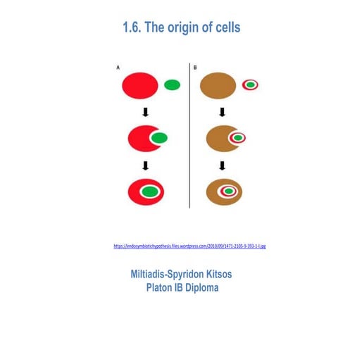 1.5. - The origin of cells | PPTX | Biological Sciences | Science
