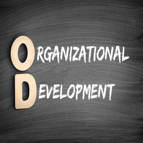Organizational Development | PPTX