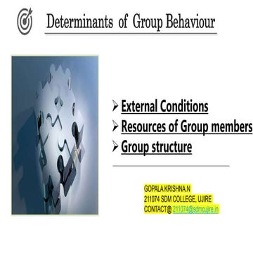 Determinants of Group Behavior | PPTX