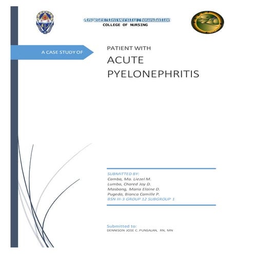 211382077 final-ap-case-study | DOCX