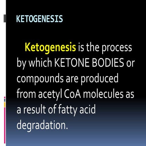 21190_Ketogenesis.ppt | Endocrine and Metabolic Diseases | Diseases and ...