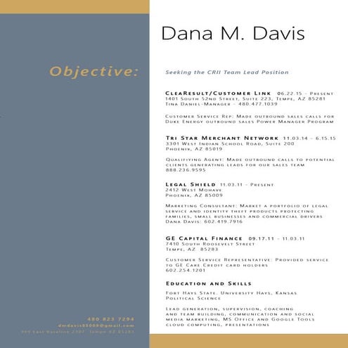 Dana Package Resume Blue | PDF