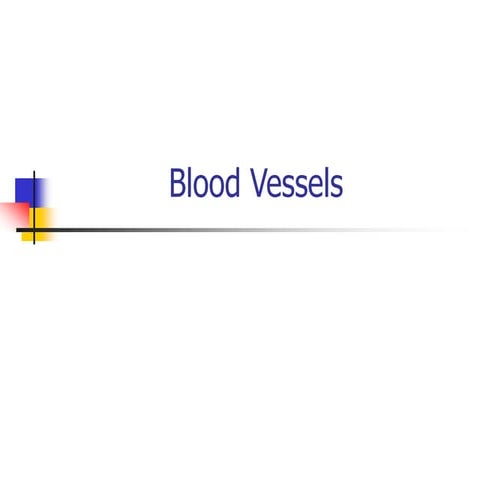 ANATOMY OF BLOOD VESSELS | PPT