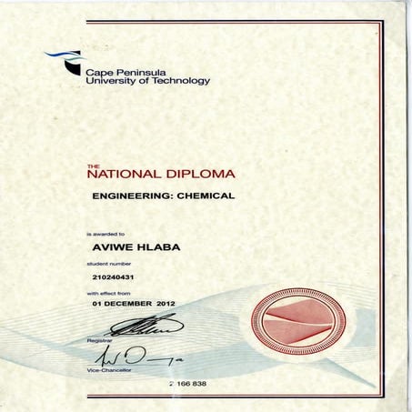 Aviwe Hlaba National Diploma | PDF