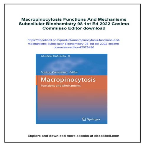 Macropinocytosis Functions And Mechanisms Subcellular Biochemistry 98 1st Ed 2022 Cosimo ...