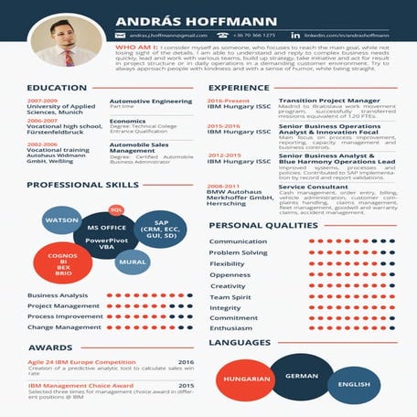 AH - CV | PDF