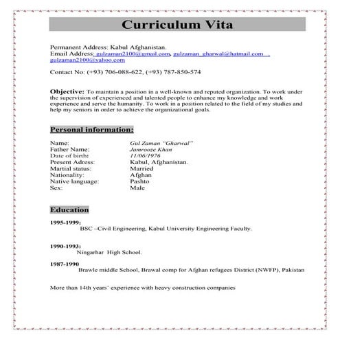 CV Homayoun WAFA new | PDF