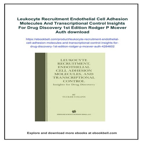 Leukocyte Recruitment Endothelial Cell Adhesion Molecules And ...