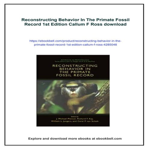 Reconstructing Behavior In The Primate Fossil Record 1st Edition Callum ...