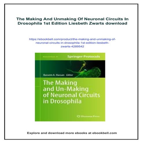 The Making And Unmaking Of Neuronal Circuits In Drosophila 1st Edition ...