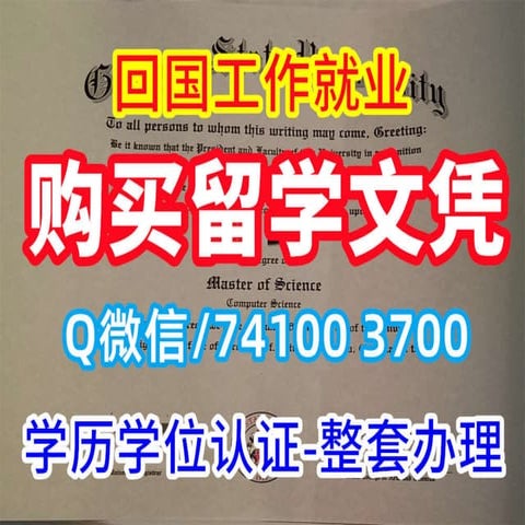 UoA Bachelor Diploma | PPT