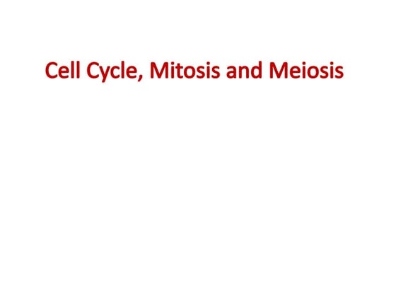 CELL CYCLE - VISHAL.pptxaaaaaaaaaaaaaaaaaaa | PPT