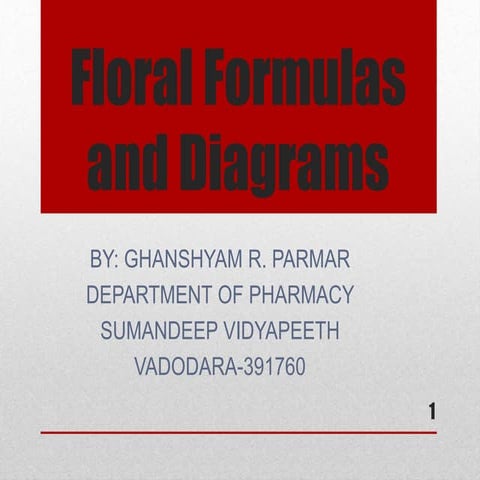 215962739-5-a-Floral-Formulas-and-Diagrams.ppt