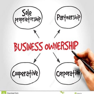 Business ownership | PPTX