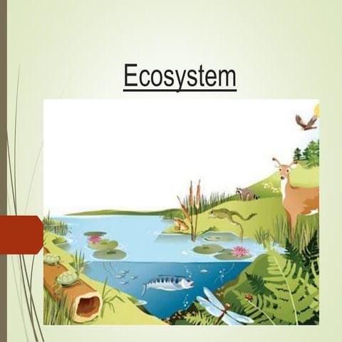 216033972 activity 3 | PPT