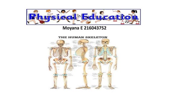 Skeletal System ---------- 6th grade.pptx