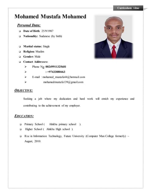 CURRICULUM VITAE hafiz | PDF