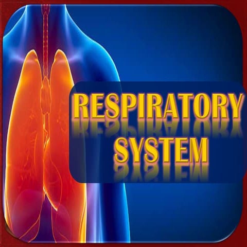 Respiratory System | PPT