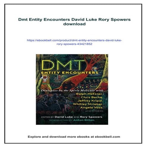 Dmt Entity Encounters David Luke Rory Spowers | PDF